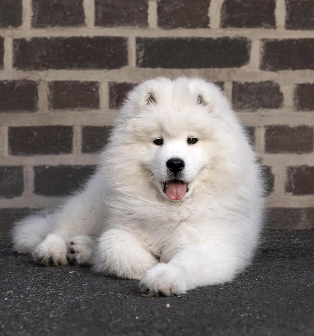 Collins Bateman | Commercial Real Estate